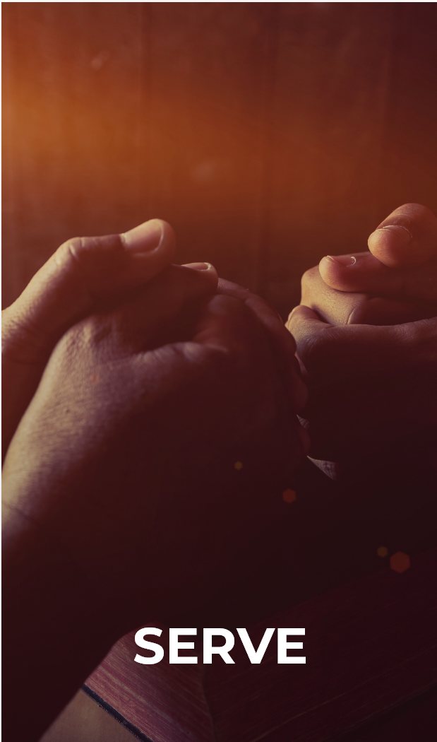 VDart's Sustainable Corporate Governance & Credo ARISE Culture Impact